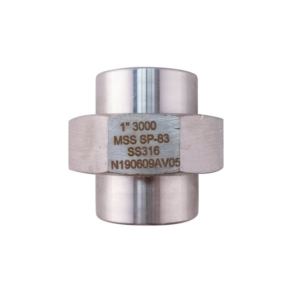 FITTING UNION PTV SS316 #3.000 SW – Provaltec